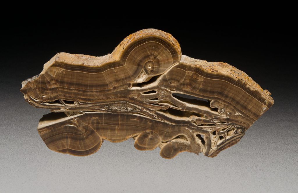 Minerals of the English Midlands | British Mineralogy